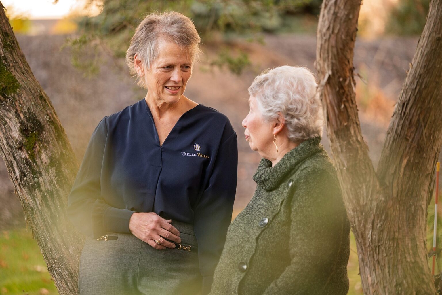Healthy Aging - TrellisWorks